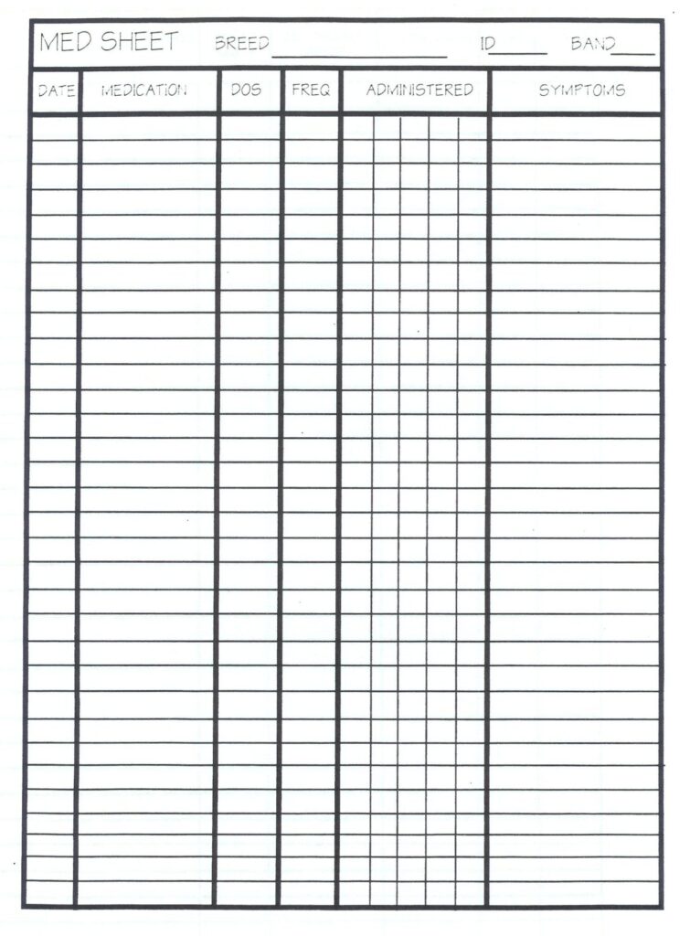 Mar Chart Template Printable - Template Free Printable
