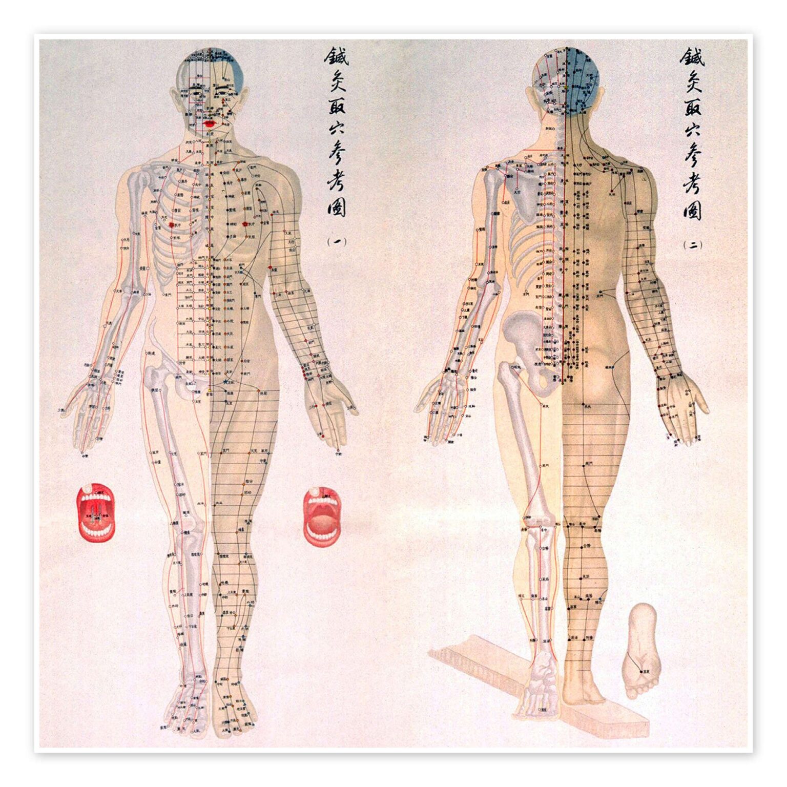 Free Printable Acupuncture Meridian Chart - Template Free Printable