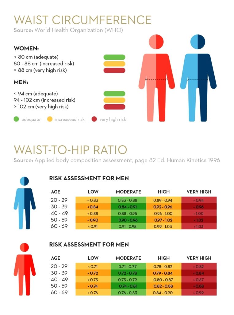 Weight Loss Inches Waist Chart - Template Free Printable